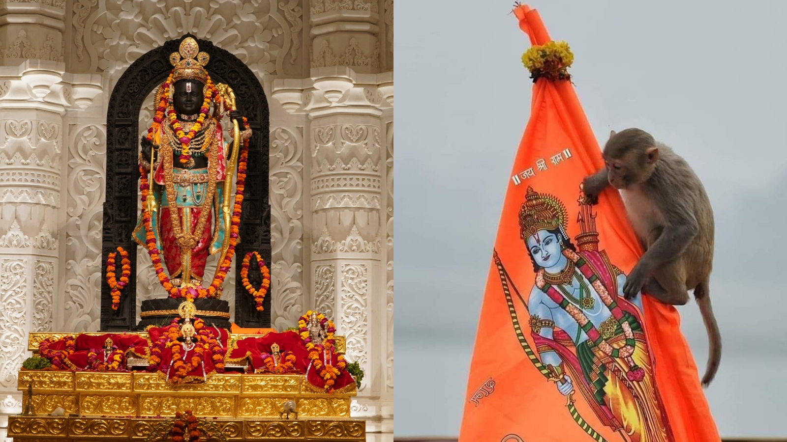 राम मंदिर के गर्भगृह में बंदर ने किया प्रवेश, जानिए फिर क्या हुआ ...