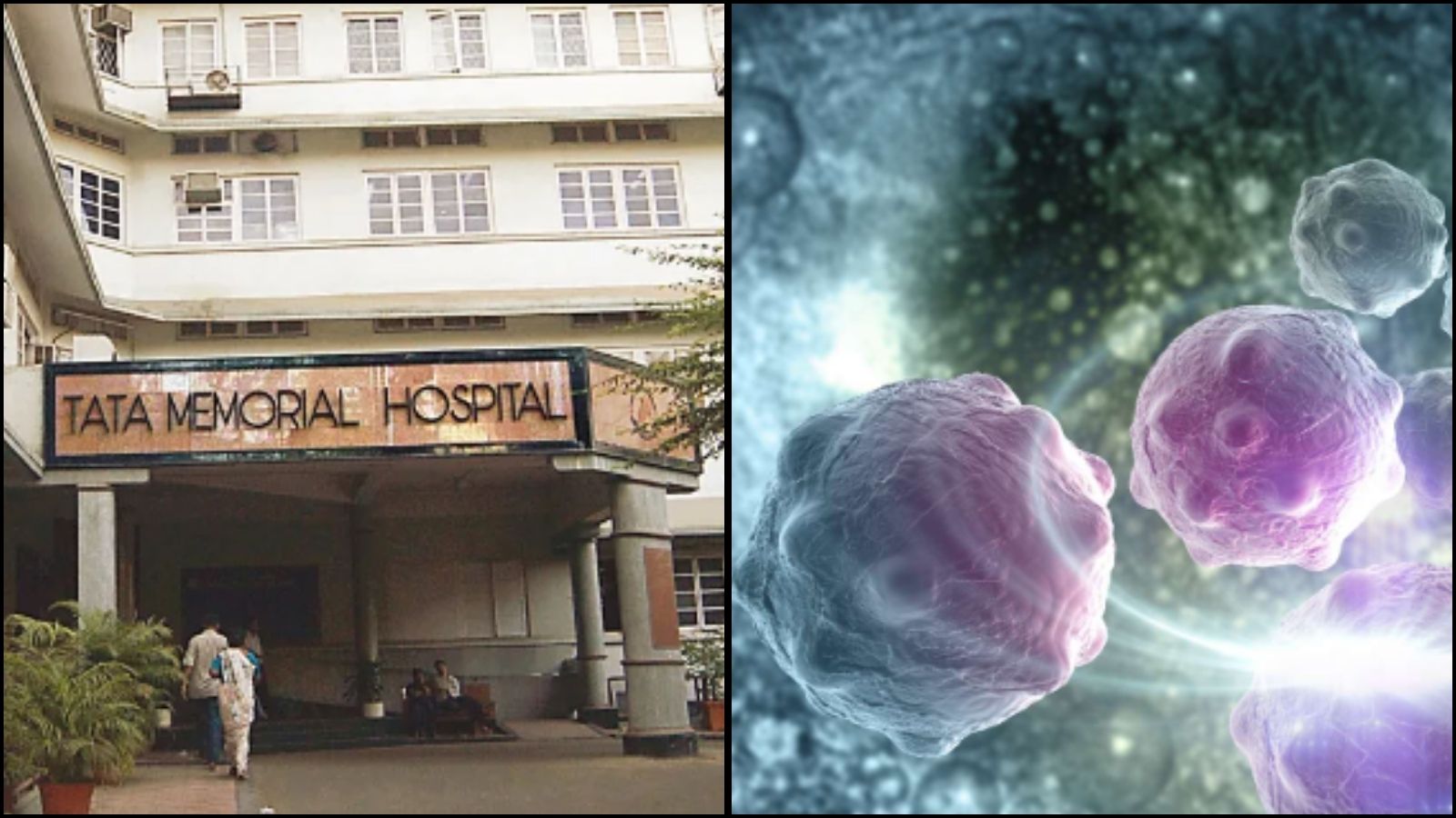 TATA इंस्टिट्यूट ने ₹100 में कैंसर की दवा बनाने का किया दावा | TATA ...
