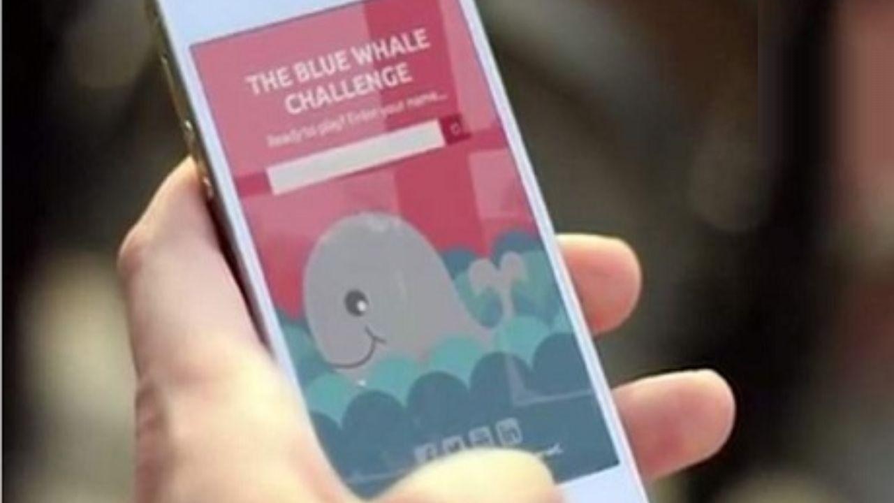 फिर सामने आया ब्लू व्हेल गेम का खौफ, अमेरिका में भारतीय छात्र की गई जान ...
